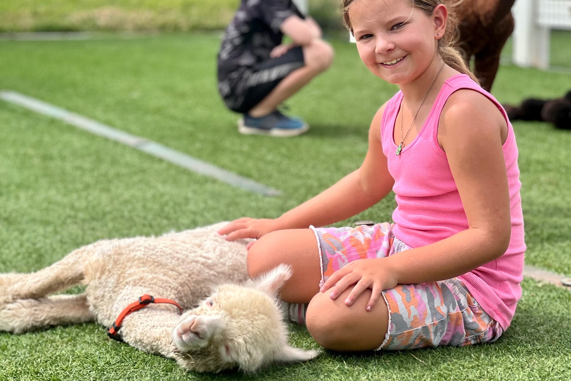 Farm Tours | Eagle Eye Farm