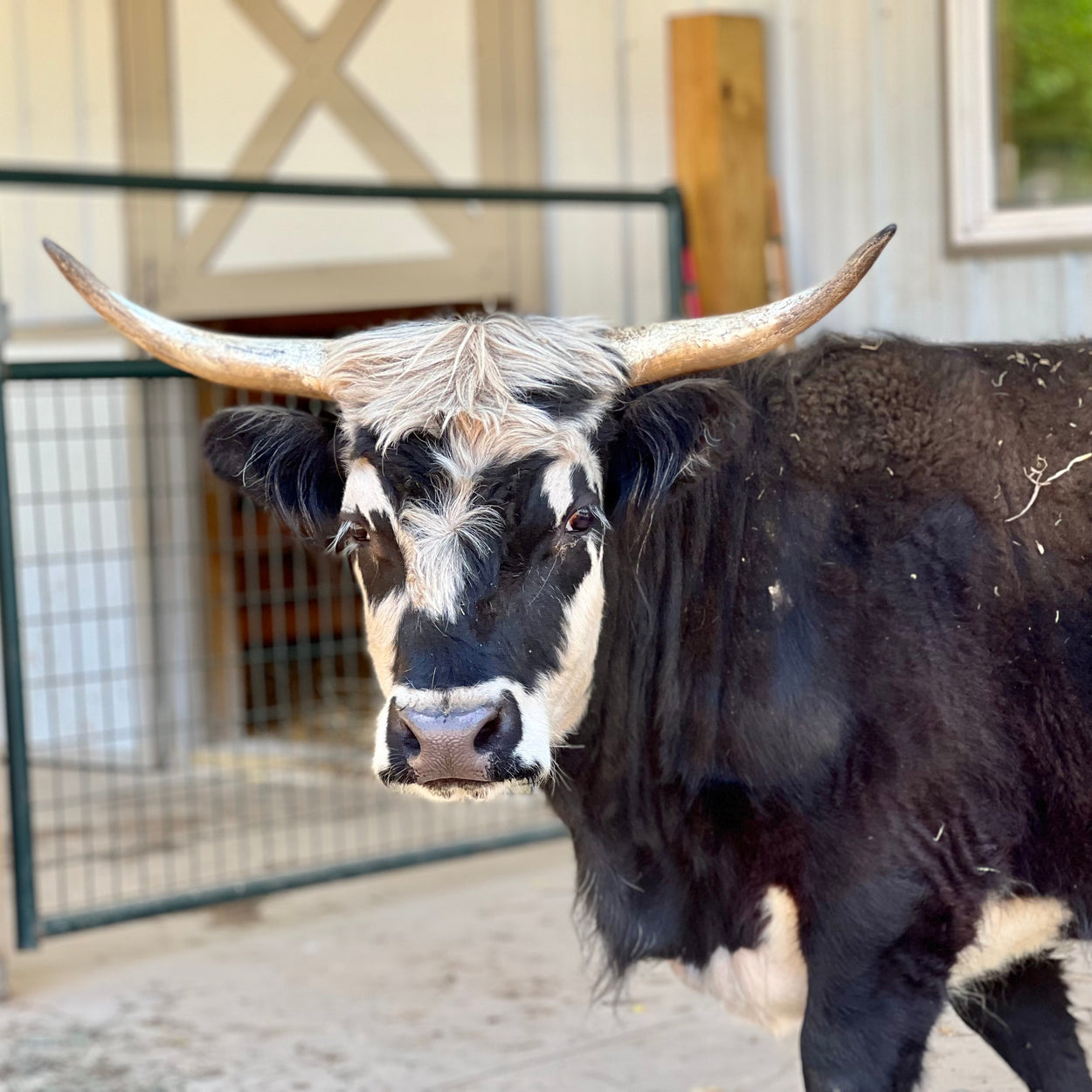 Sponsorships | Eagle Eye Farm